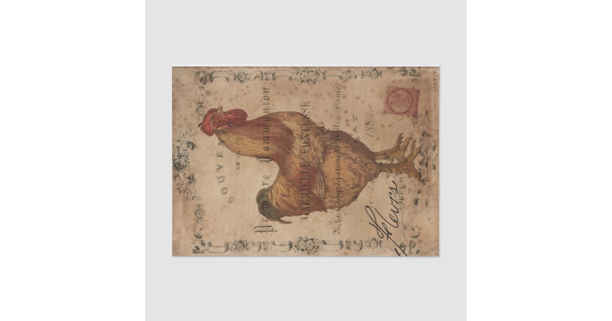 Chicken Scratch Tissue Paper | Zazzle