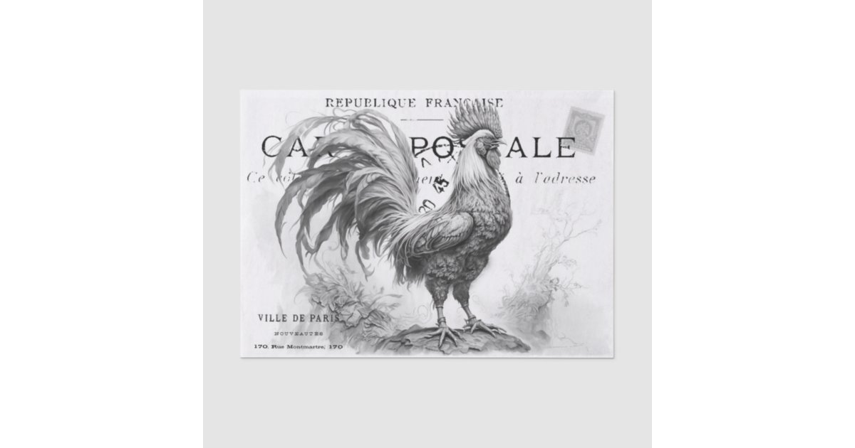 Chicken Scratch Tissue Paper | Zazzle