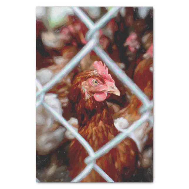 Chicken Vintage Style Country Farm Hen Tissue Paper | Zazzle