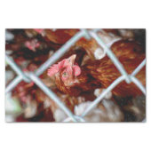 Chicken Vintage Style Country Farm Hen Tissue Paper | Zazzle