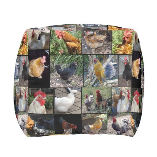 Chickens And Roosters In A Photo Collage, Pouf | Zazzle