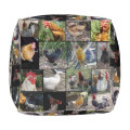 Chickens And Roosters In A Photo Collage, Pouf | Zazzle