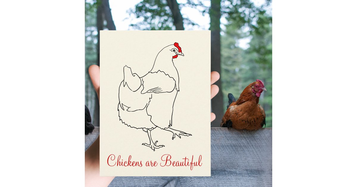 Chickens are Beautiful Cute Dancing Hen Drawing Postcard | Zazzle