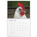 Chickens Calendar | Zazzle