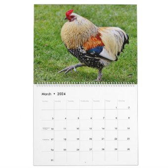 Chickens Calendar | Zazzle