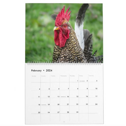 Chickens Calendar | Zazzle