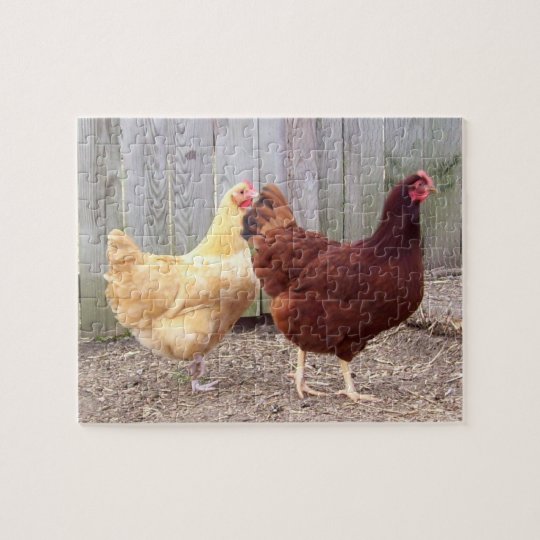 Chickens Puzzle | Zazzle.com