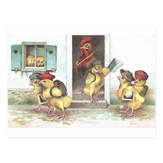 Chicks at School and Rooster Teacher Postcard | Zazzle.com
