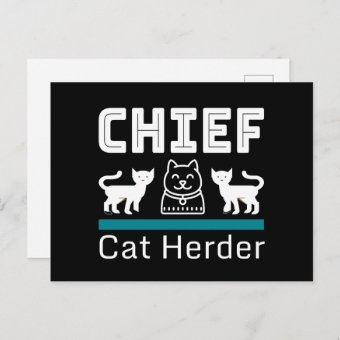 Chief Cat Herder Funny Postcard | Zazzle