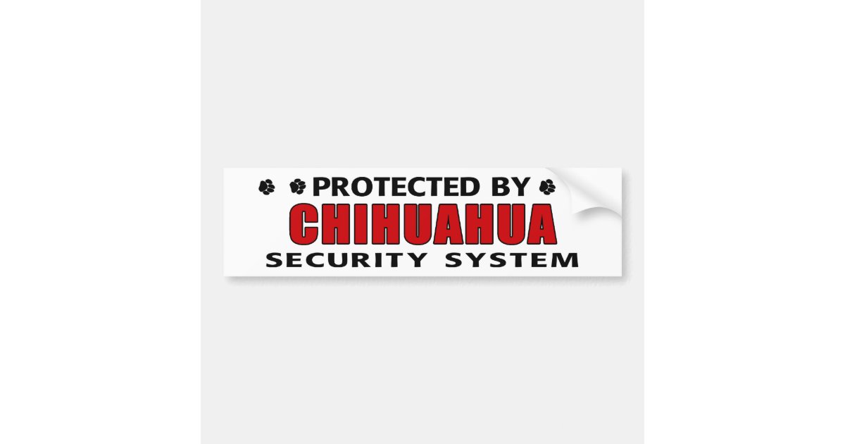 Chihuahua Dog Security Bumper Sticker | Zazzle