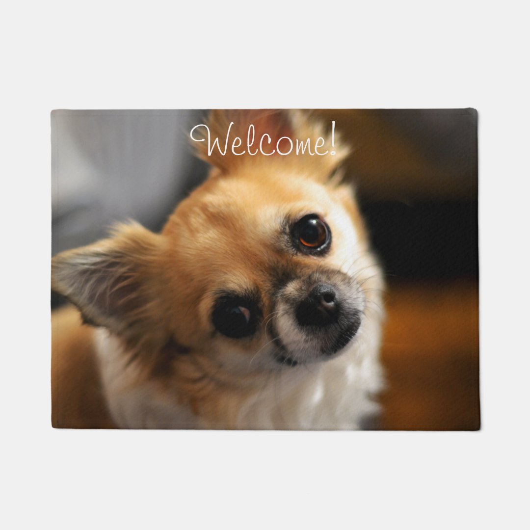 Chihuahua Door Mat Welcome Add Photo | Zazzle