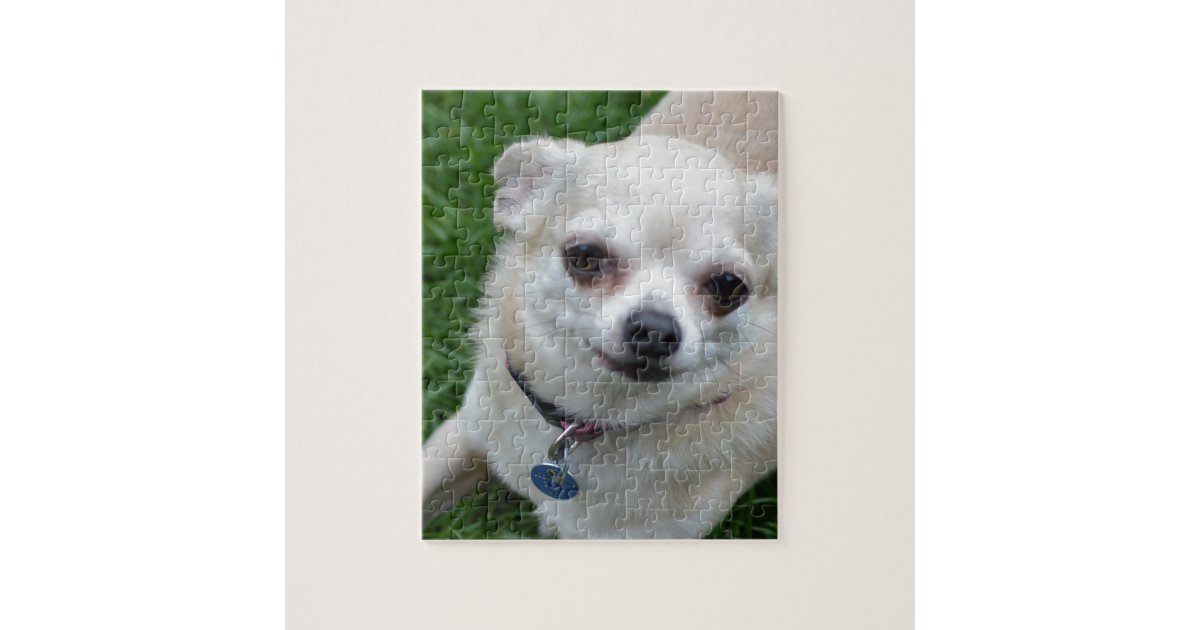 Chihuahua Jigsaw Puzzle | Zazzle