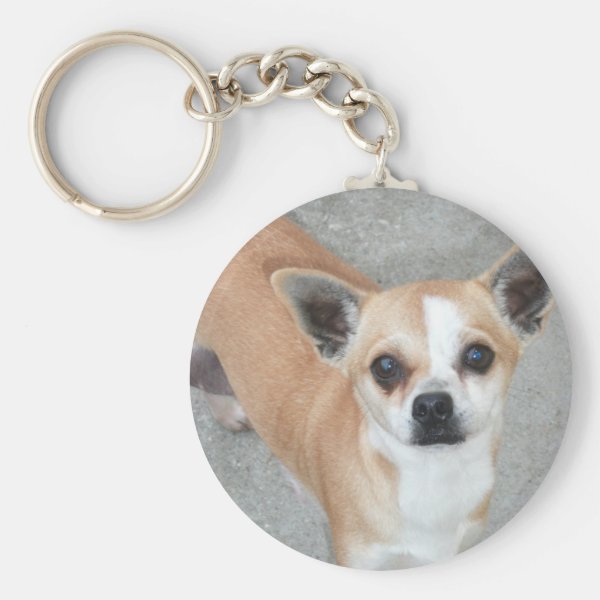 Chihuahua Gifts on Zazzle