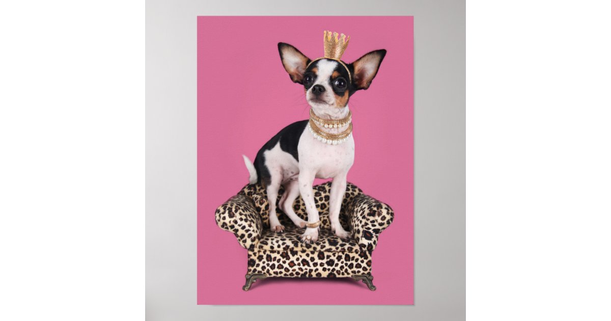 Chihuahua Princess Poster | Zazzle