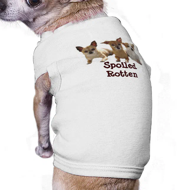 Chihuahua Spoiled Rotten Dog T-Shirt | Zazzle