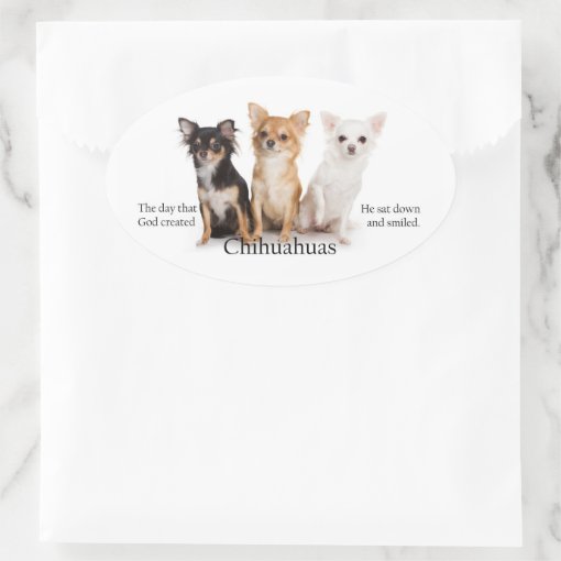 Chihuahua Sticker | Zazzle