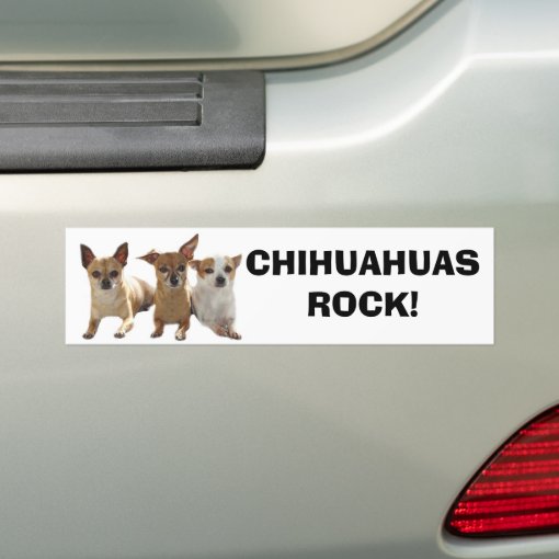 Chihuahuas Rock Bumper Sticker | Zazzle