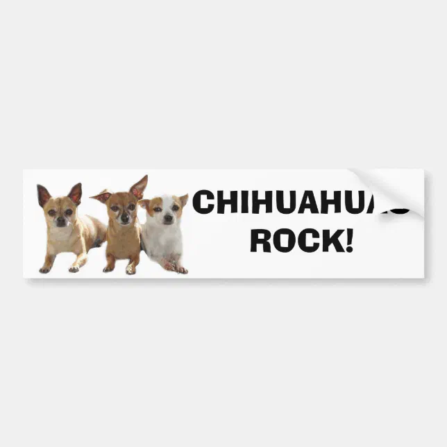 Chihuahuas Rock Bumper Sticker | Zazzle