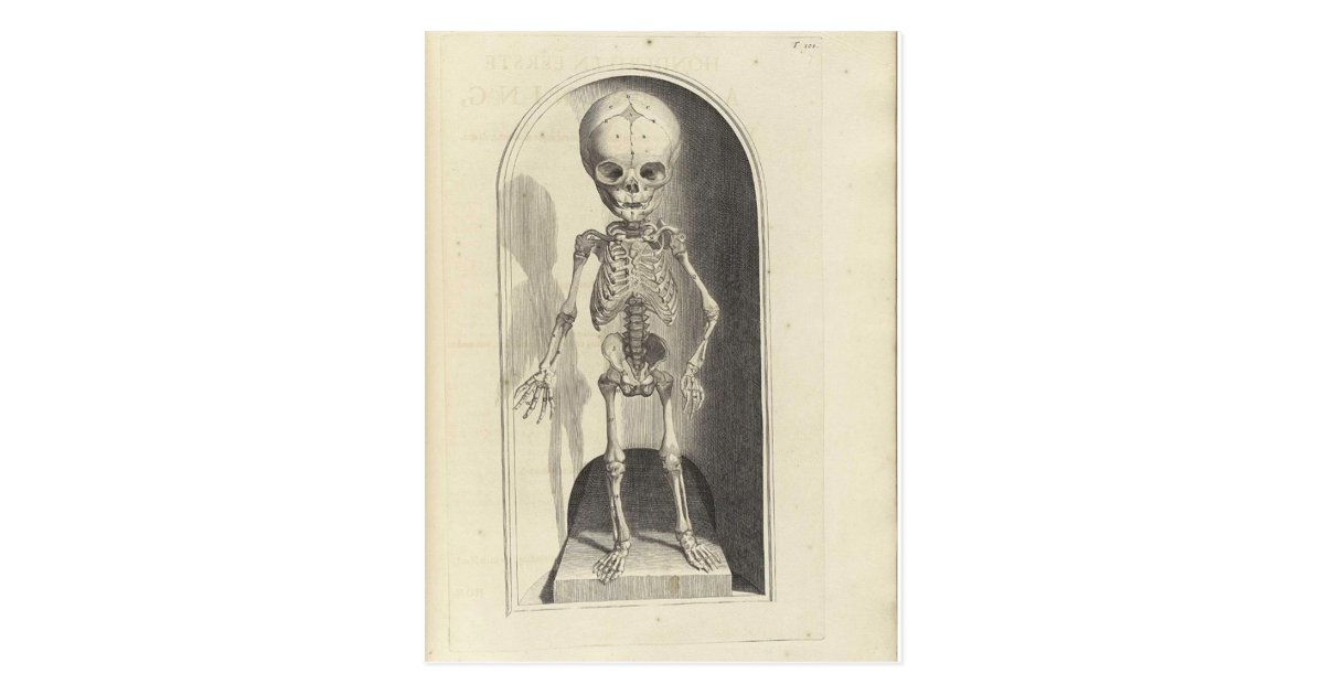 Child Skeleton Postcard | Zazzle.com