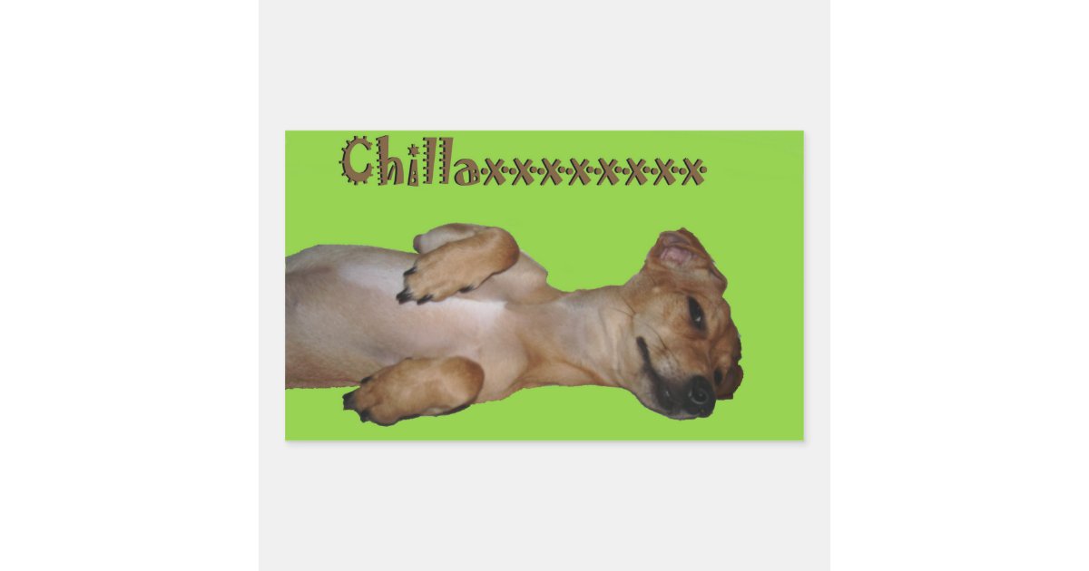 Chillaxin Chiweenie Sticker | Zazzle