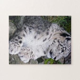 Chilled Out Snow Leopard Jigsaw Puzzle | Zazzle