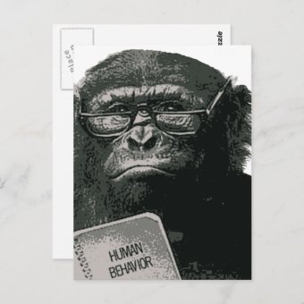 Chimp Reading Postcard | Zazzle