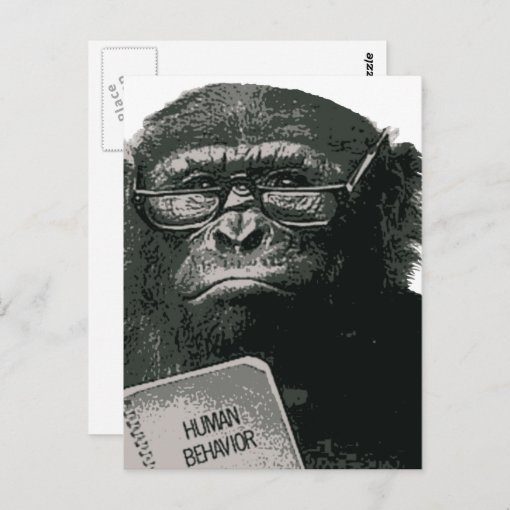 Chimp Reading Postcard | Zazzle