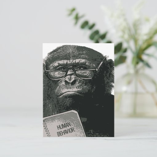 Chimp Reading Postcard | Zazzle