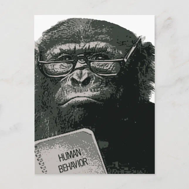 Chimp Reading Postcard | Zazzle