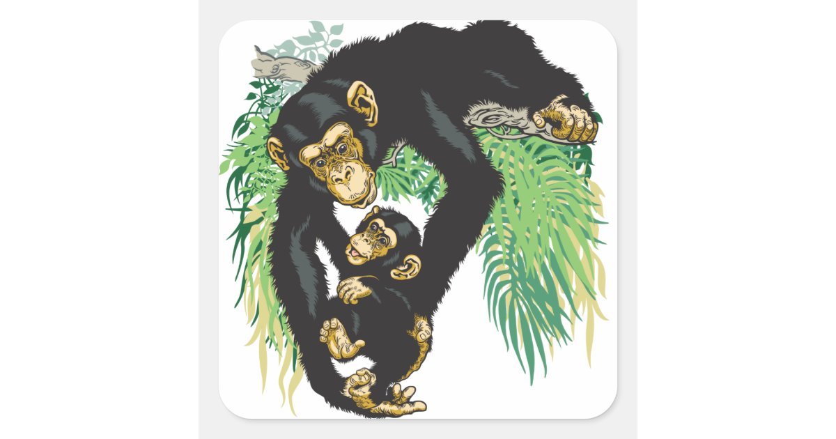chimp with baby square sticker | Zazzle