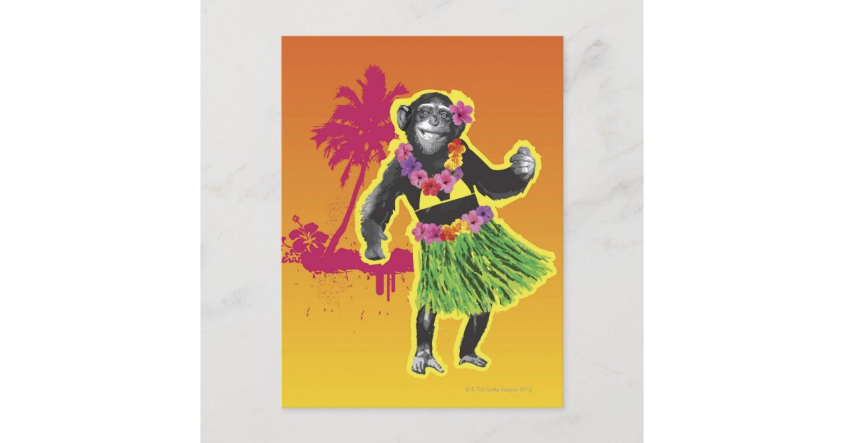 Chimpanzee Hula Dancing Postcard | Zazzle