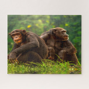 Gorilla Jigsaw Puzzles | Zazzle