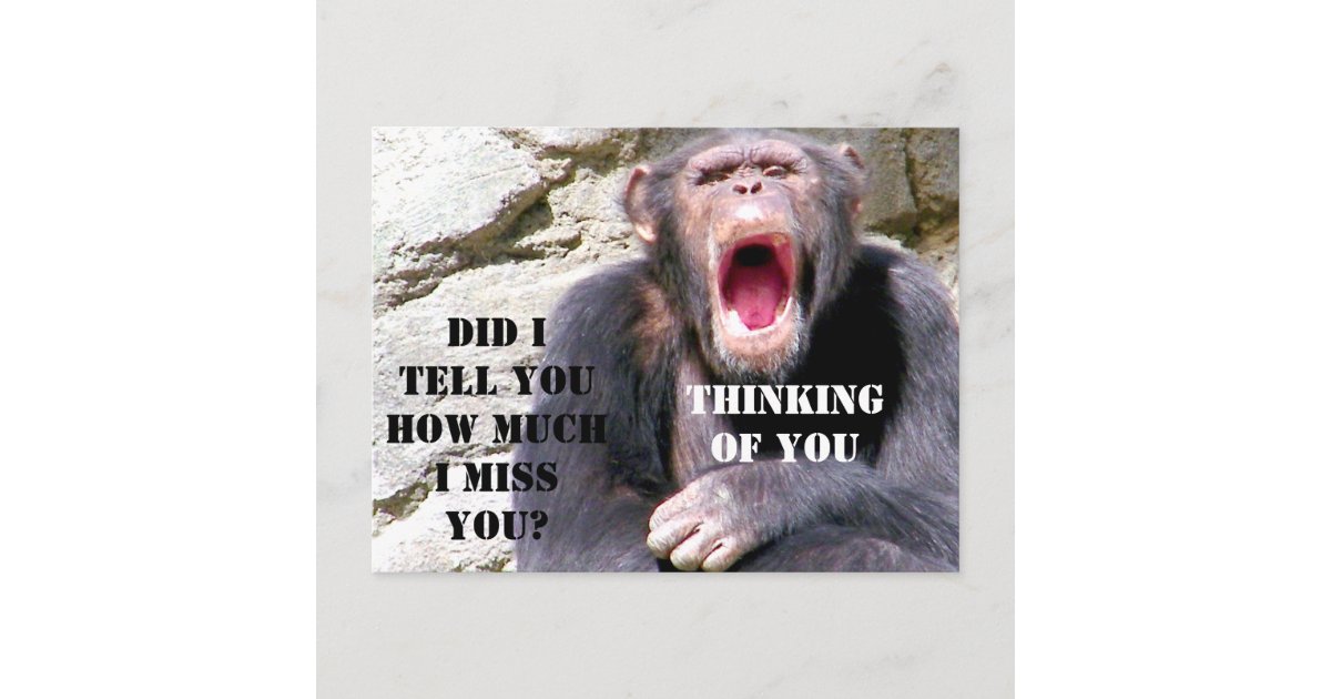 Chimpanzee_ Postcard | Zazzle
