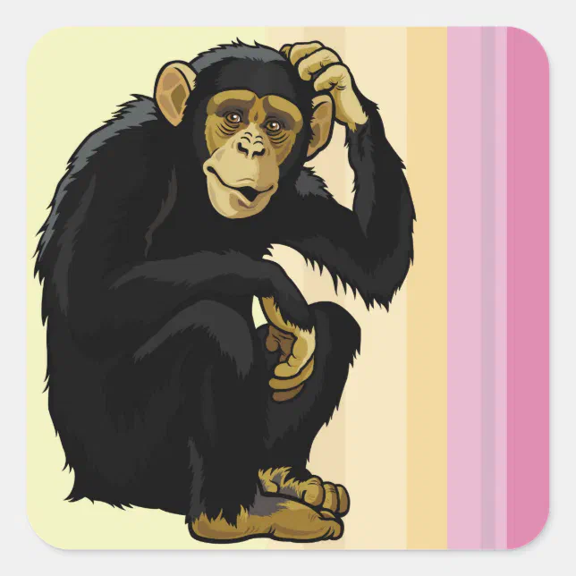 chimpanzee square sticker | Zazzle