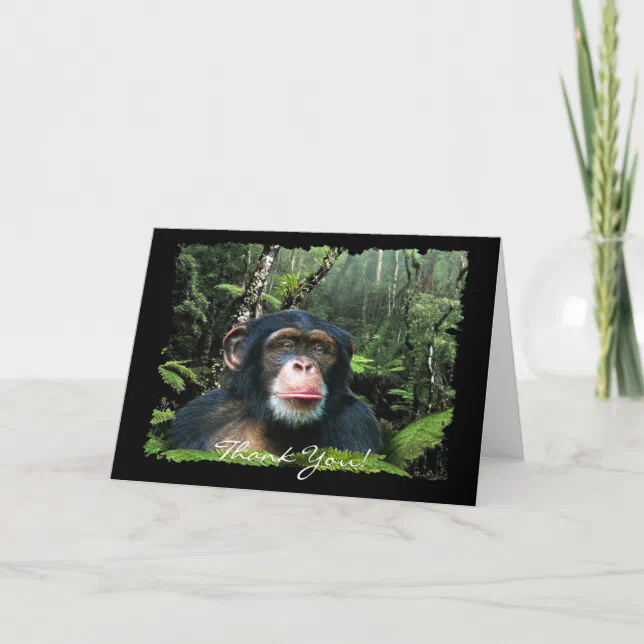 CHIMPANZEE Thank You Card | Zazzle