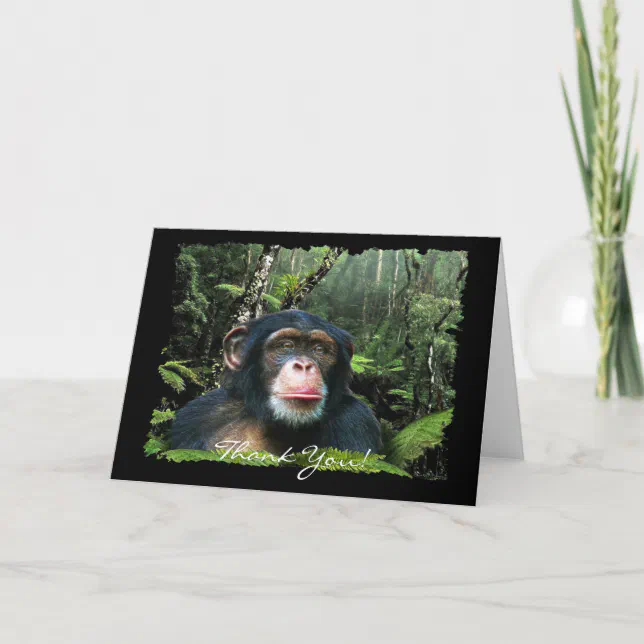 CHIMPANZEE Thank You Card | Zazzle