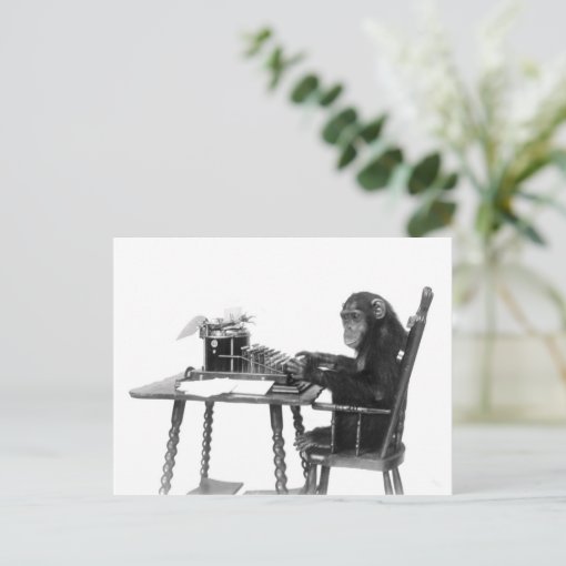 Chimpanzee typing postcard | Zazzle