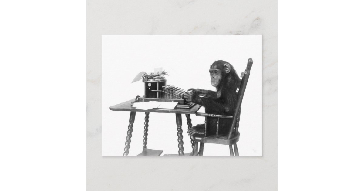 Chimpanzee typing postcard | Zazzle