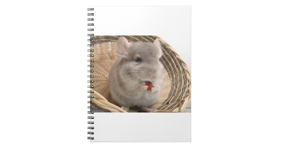 chinchilla notebook | Zazzle