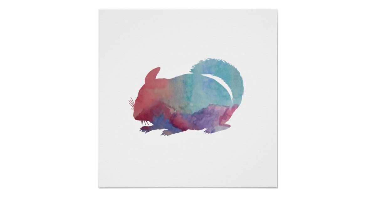 Chinchilla Poster | Zazzle