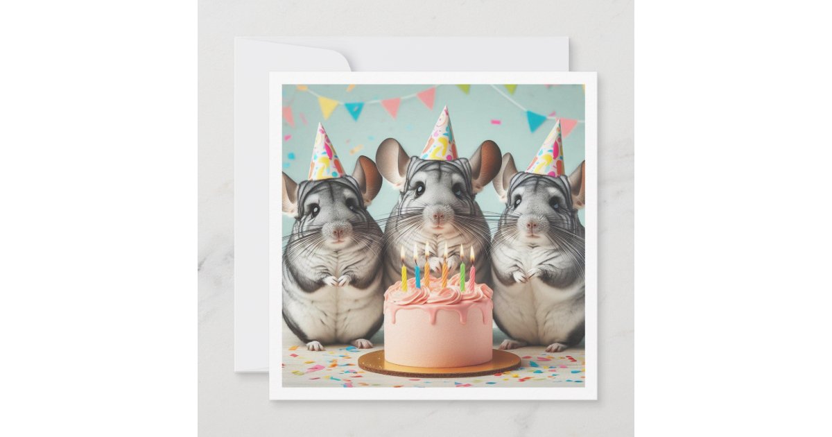 chinchillas eating cake birthday invitation | Zazzle