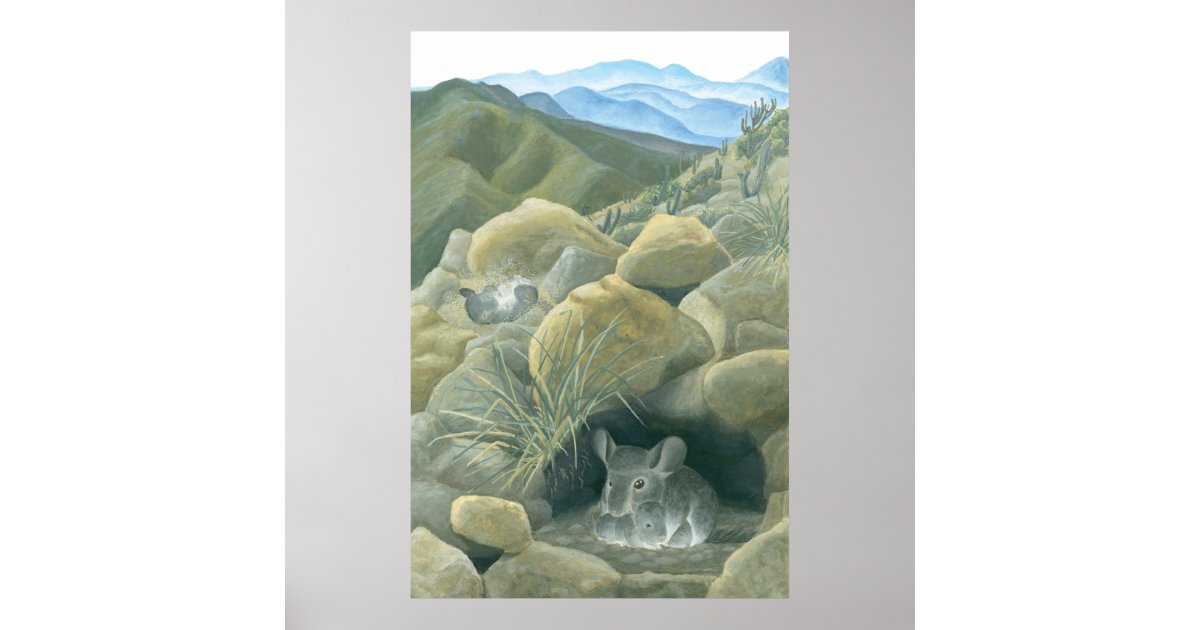 Chinchillas in the Wild Poster | Zazzle