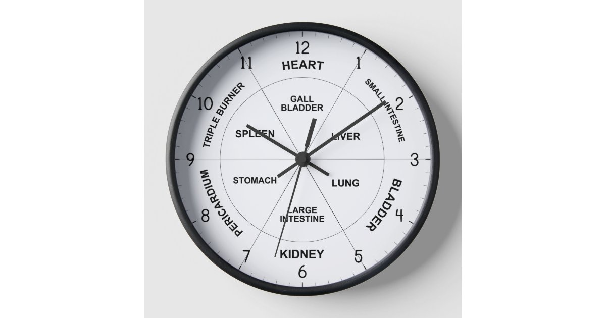 Chinese Organ Clock - TCM Body Clock Black & White | Zazzle