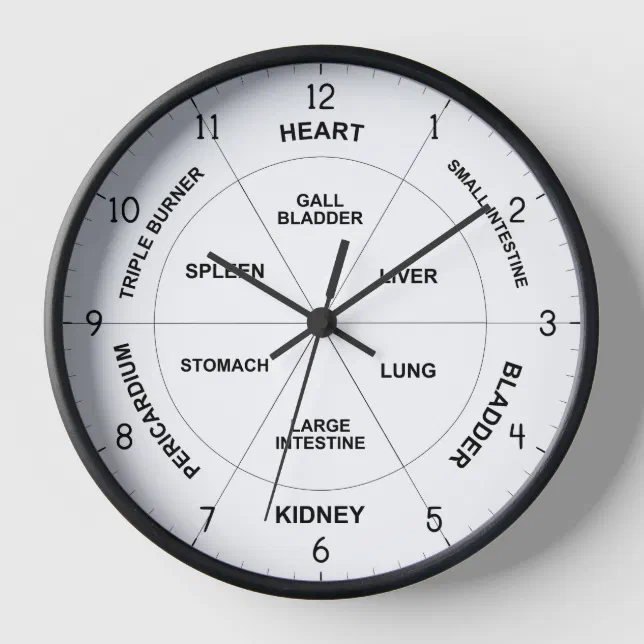 Chinese Organ Clock - TCM Body Clock Black & White | Zazzle