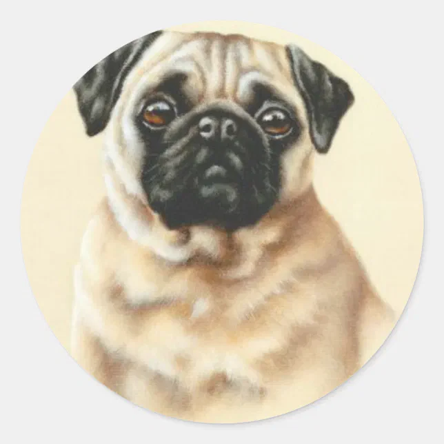 Chinese Pug Classic Round Sticker | Zazzle