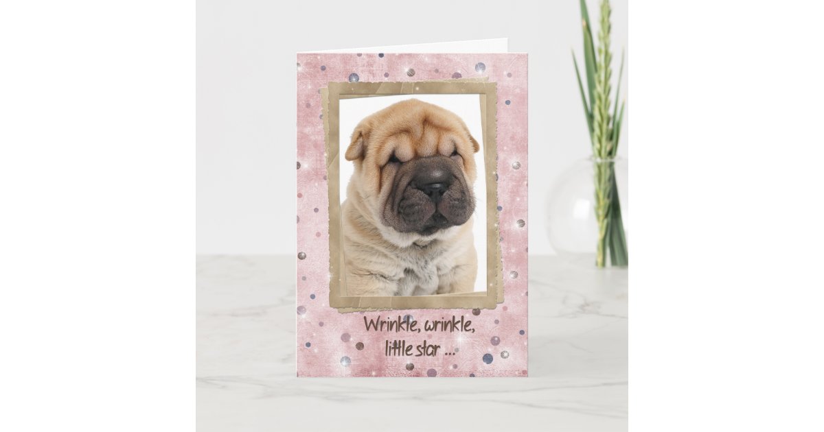 Chinese Shar-pei Birthday Humor Card | Zazzle