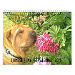 Chinese Shar-pei Calendar | Zazzle