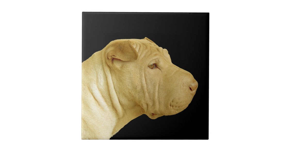 Chinese Shar-Pei Dog Profile Tile | Zazzle