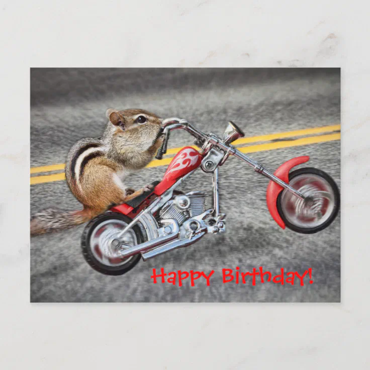 Chipmunk Biker Riding a Motorcycle Postcard | Zazzle