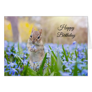 Chipmunk Birthday Cards | Zazzle